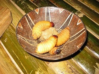 PINCHO DE MAYONES :: Los Sabores del Ecuador